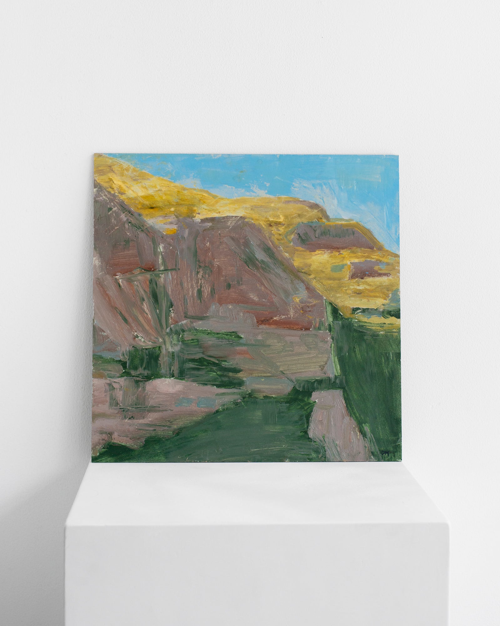 Daniella Mooney - Incense at the Sayed Abdul Haq Kramat / Deer Park – Mary MacGill